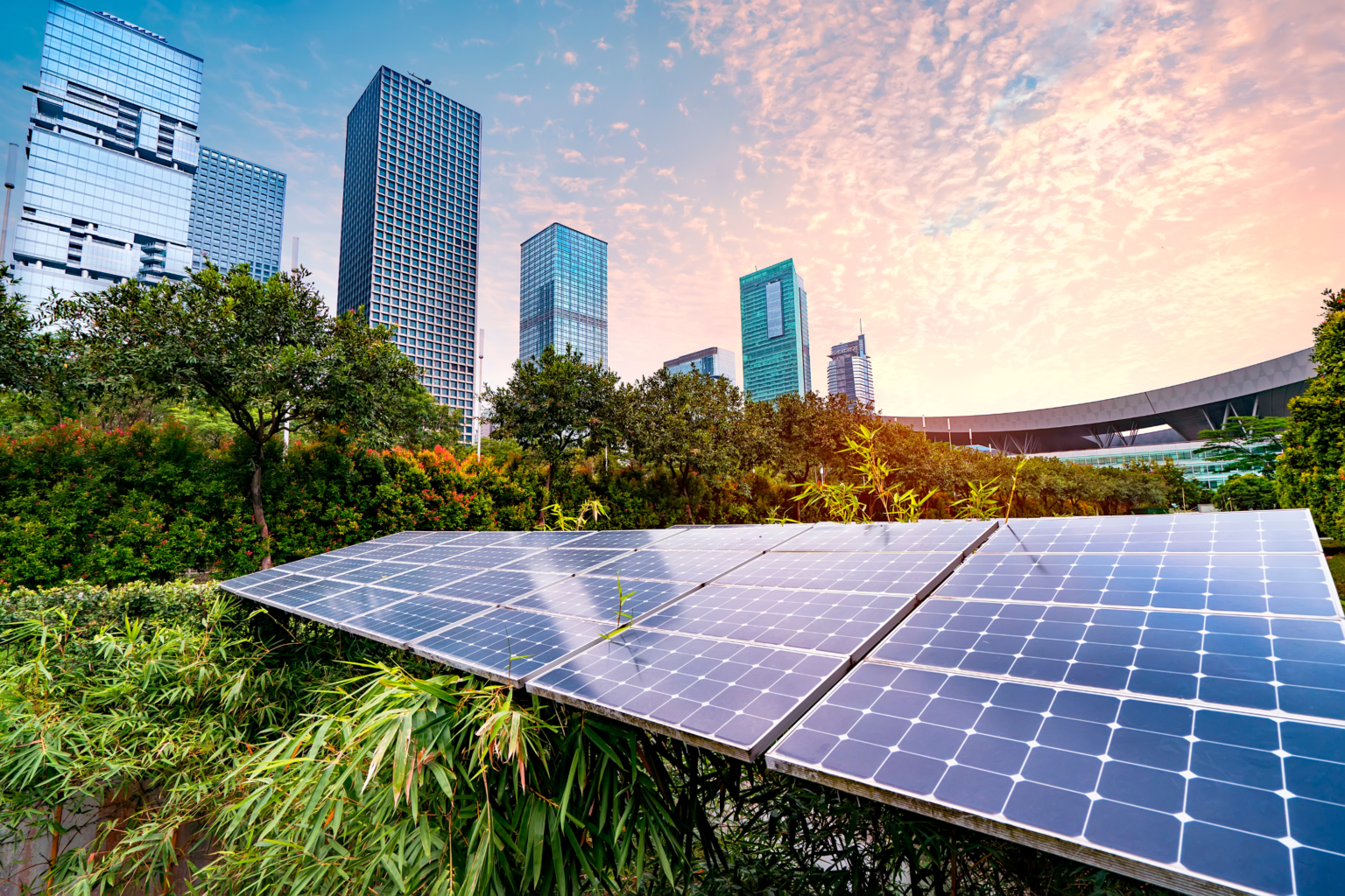 Top Sustainable House Design Ideas for Eco-Friendly Living